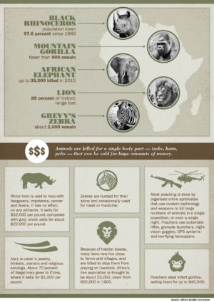 Poaching Threatens Africa's Wildlife Treasures - Africa Defense Forum