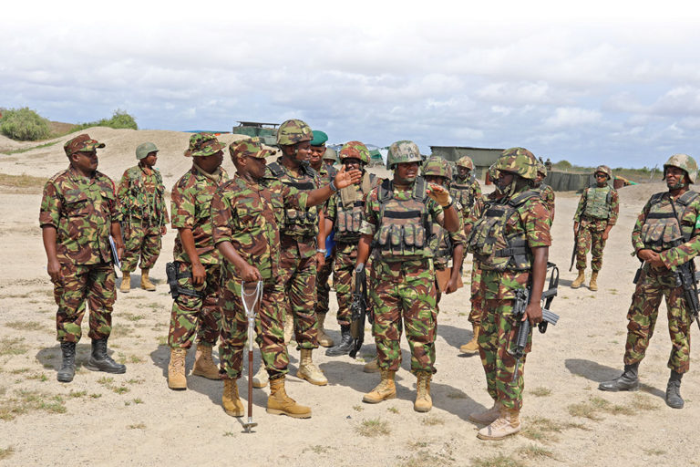 ‘Sharpening Our Arrowhead’ - Africa Defense Forum
