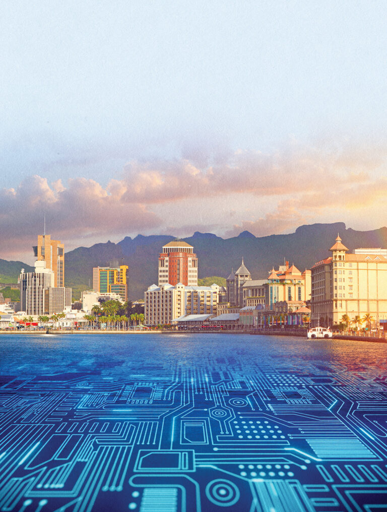 Island Nation Tackles Cyber Security - Africa Defense Forum