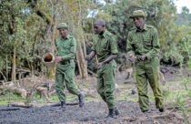 King Tenkamenin Ruler of Ancient Ghana - Africa Defense Forum