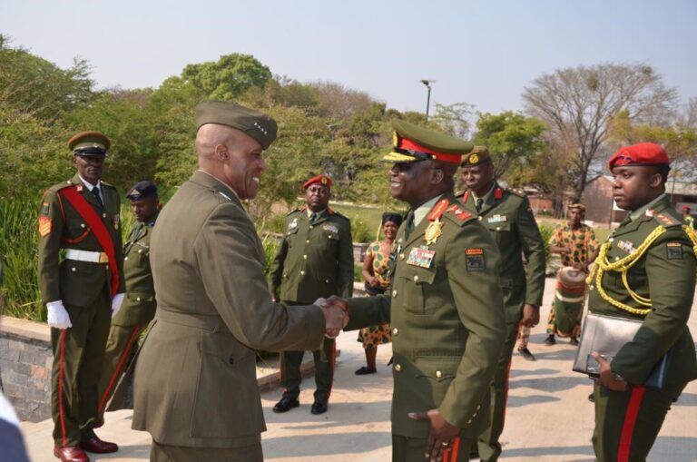 Zambia Hosts Conference to Promote Key Role of NCOs - Africa Defense Forum