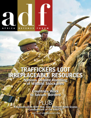 Home - Africa Defense Forum