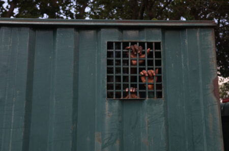 Organized Crime and Corruption Drive Violence in Nigeria - Africa ...